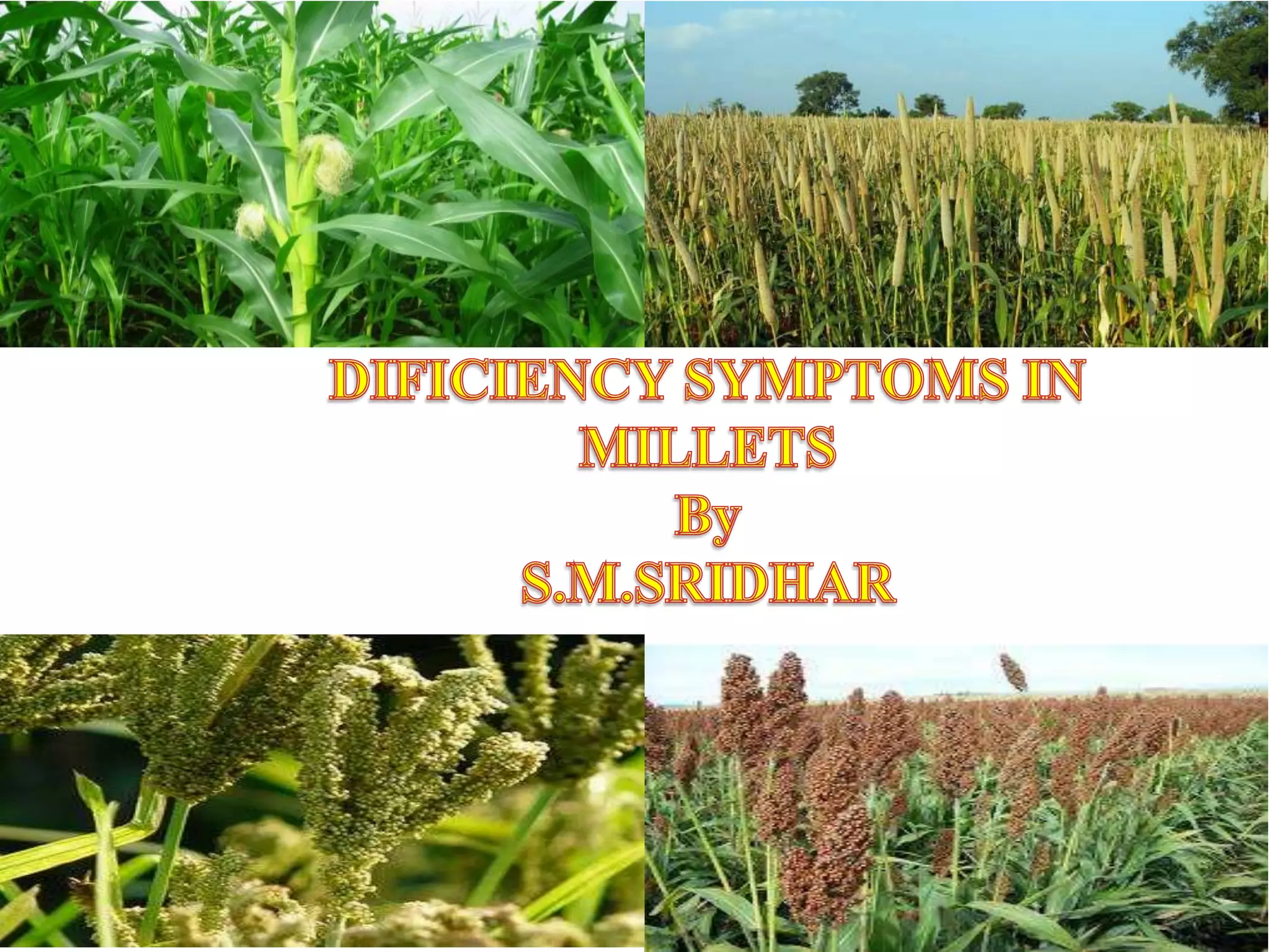 Deficiency in millets | PPTX