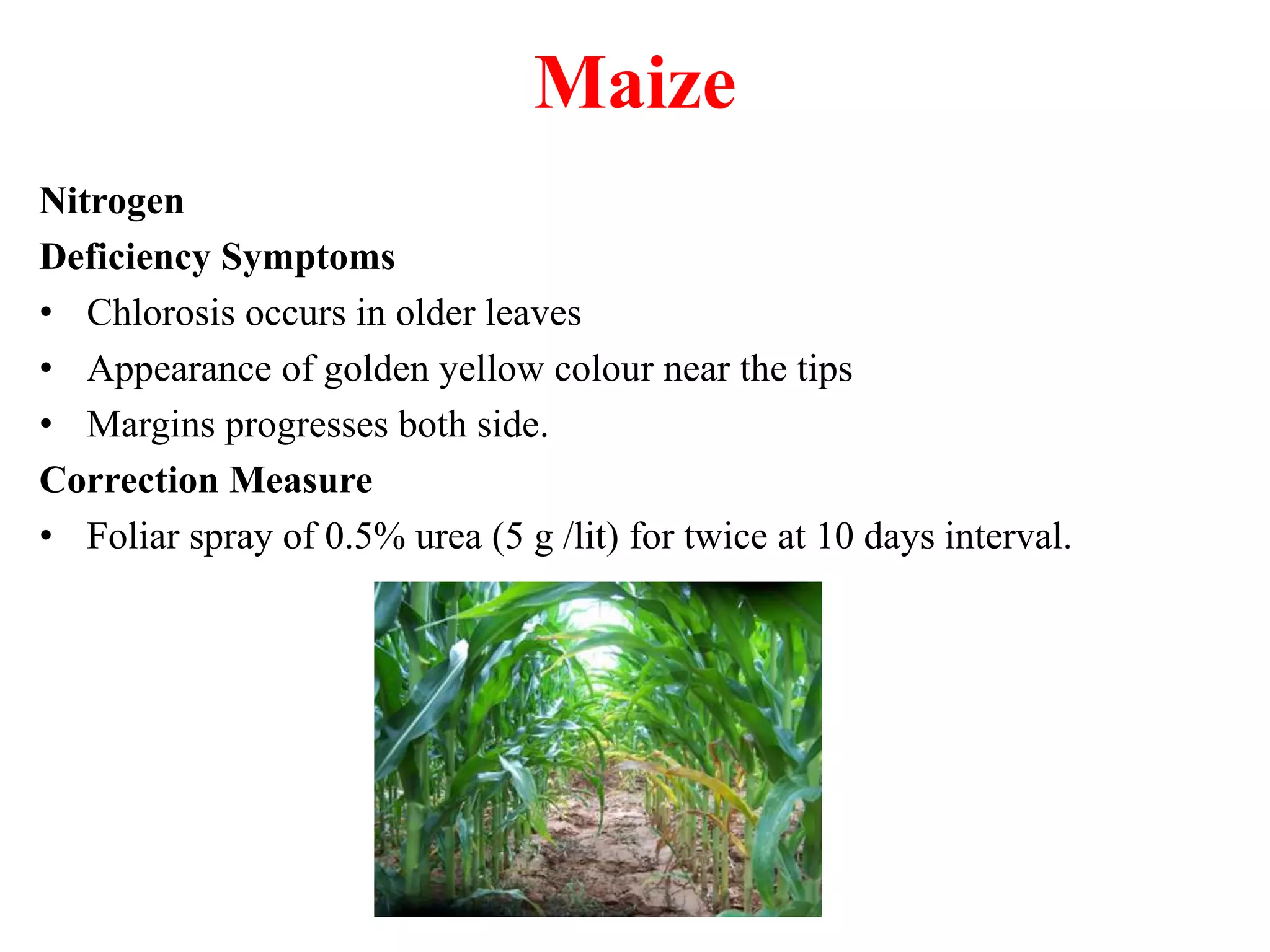 Deficiency in millets | PPTX