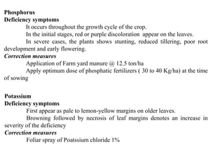 Deficiency in millets | PPTX