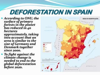 Deforestation 2 | PPT