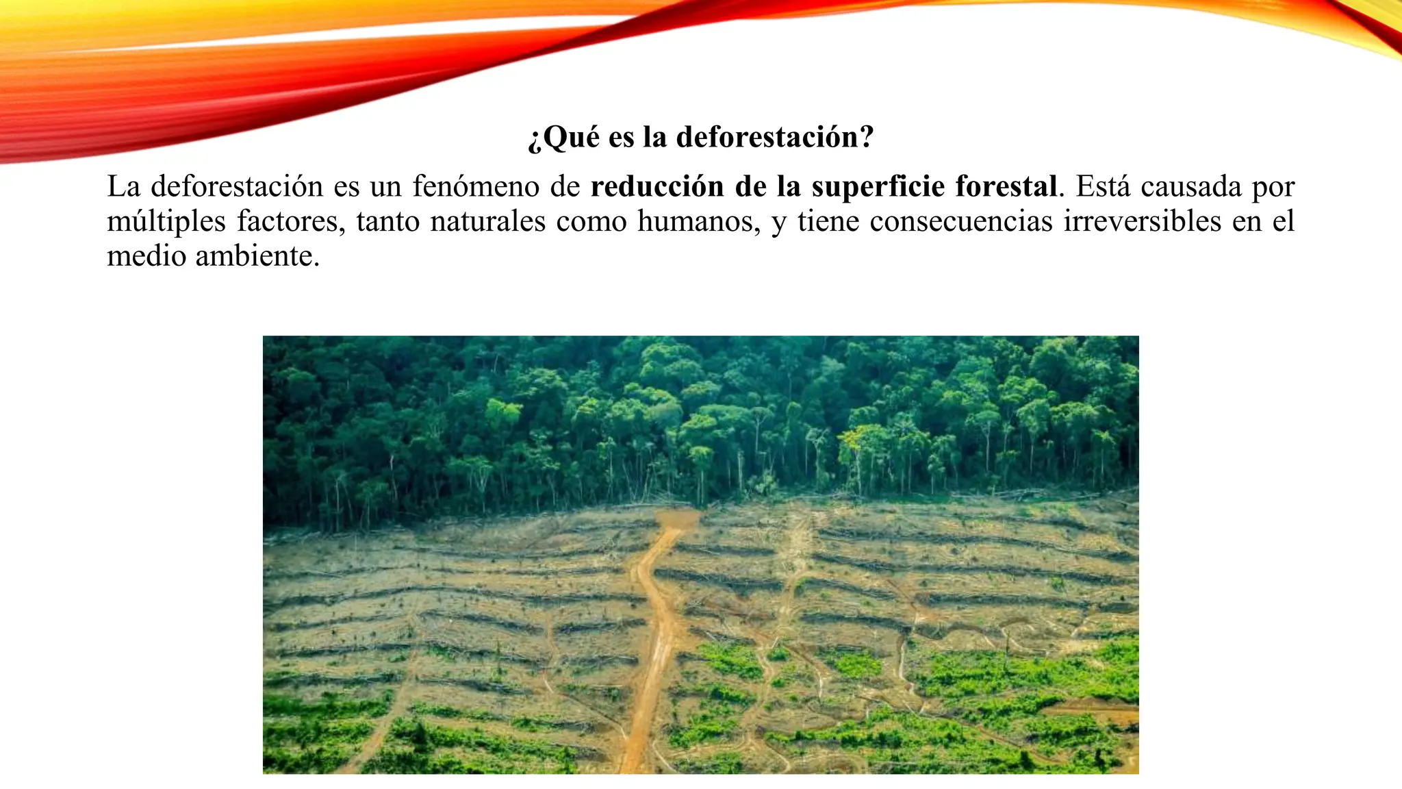 DEFORESTACION DE LOS BOSQUES TROPICALES .pptx