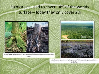 DeforestACTION | PPT