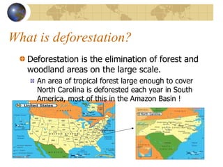 Deforestation | PDF