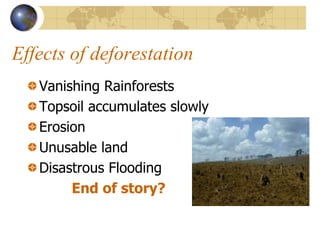 Deforestation | PDF