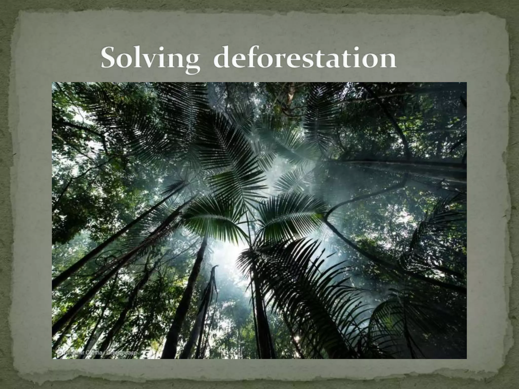 Deforestation "years of living dangerously" | PPTX