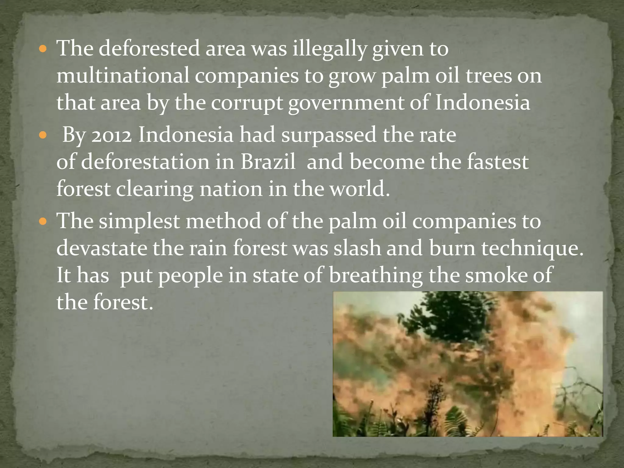 Deforestation "years of living dangerously" | PPTX