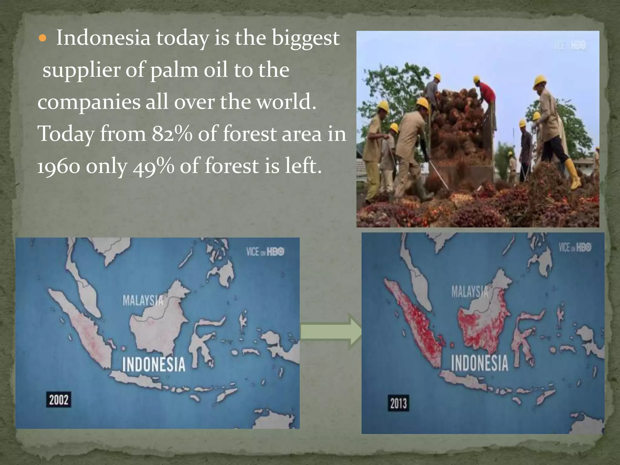 Deforestation "years of living dangerously" | PPTX
