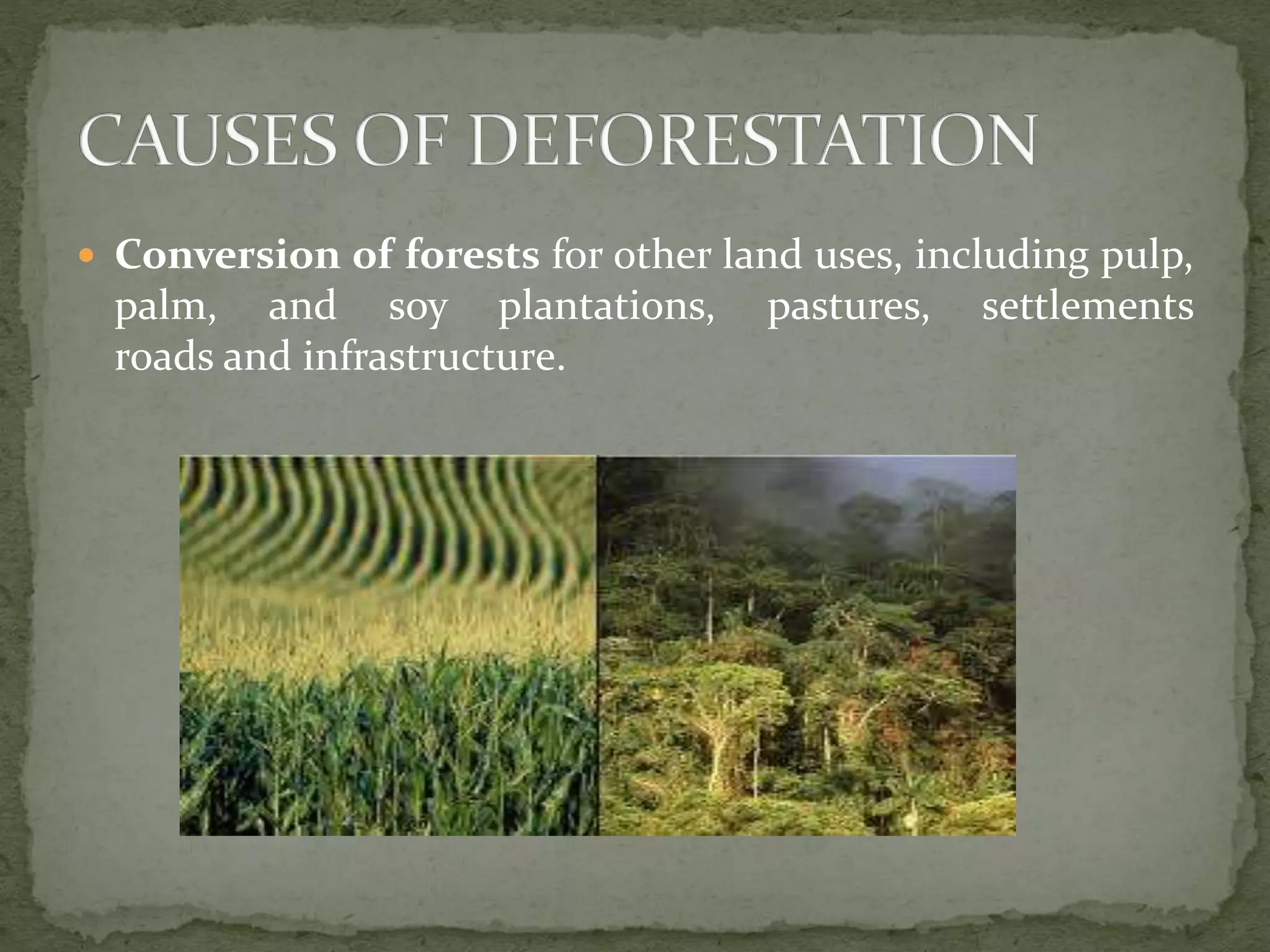 Deforestation "years of living dangerously" | PPTX