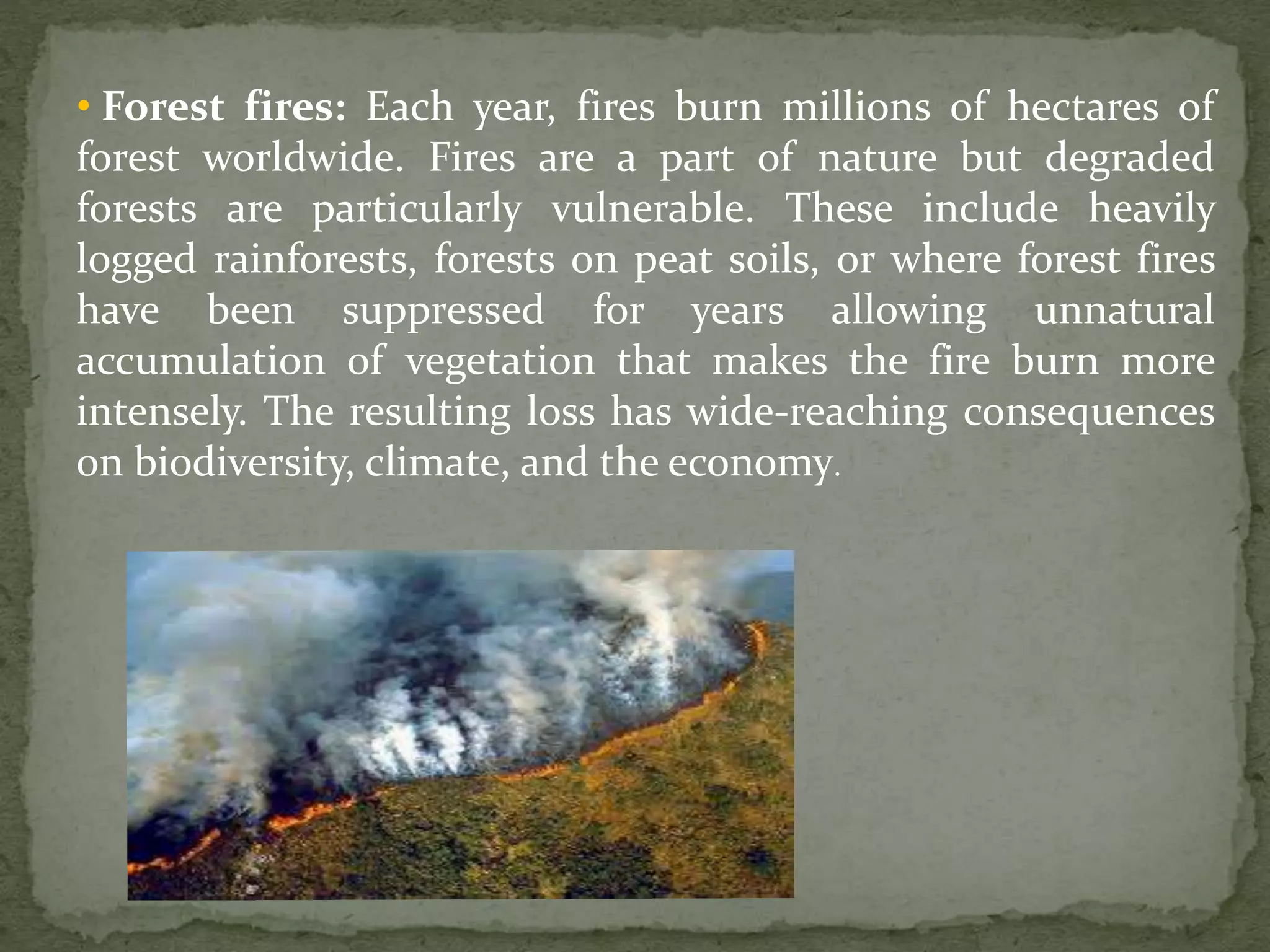 Deforestation "years of living dangerously" | PPTX