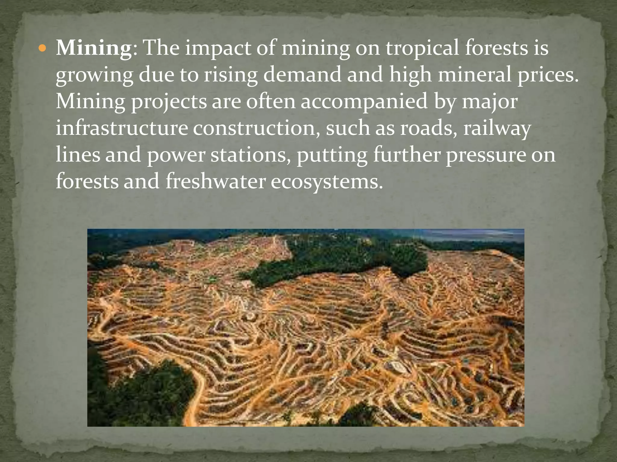 Deforestation "years of living dangerously" | PPTX