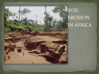 Deforestation "years of living dangerously" | PPTX