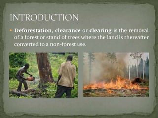 Deforestation "years of living dangerously" | PPTX