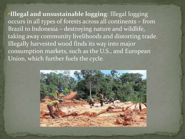 Deforestation "years of living dangerously" | PPTX