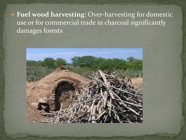 Deforestation "years of living dangerously" | PPTX