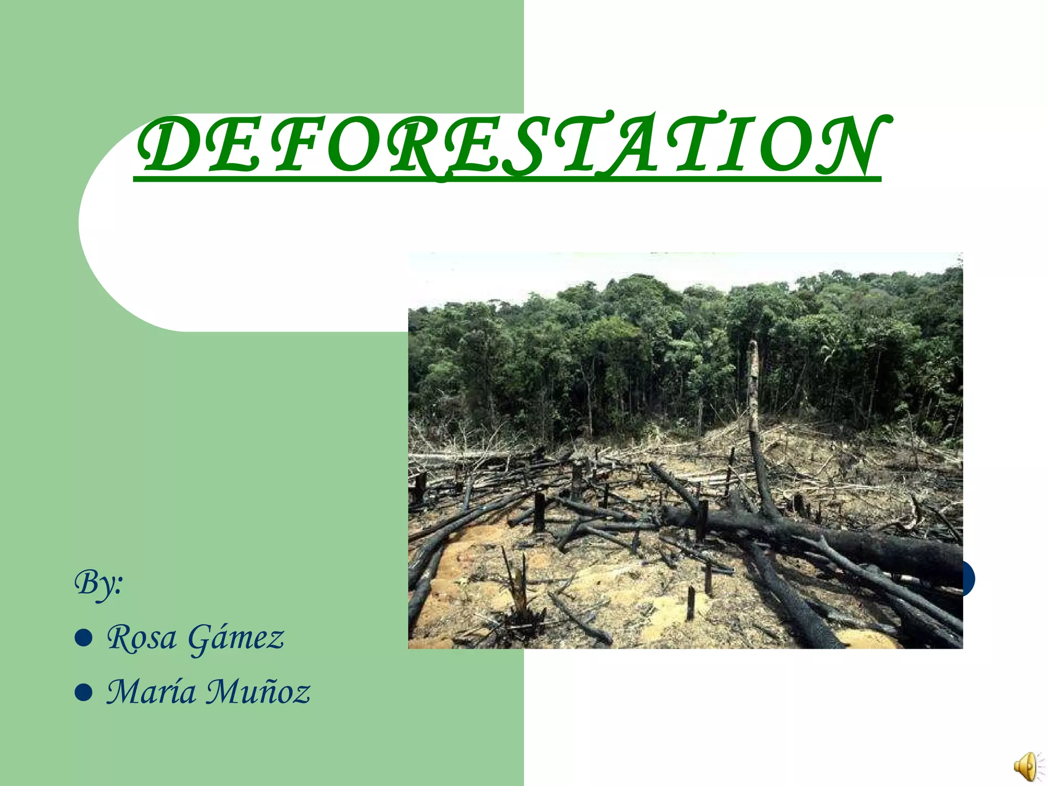 Deforestation | PPT