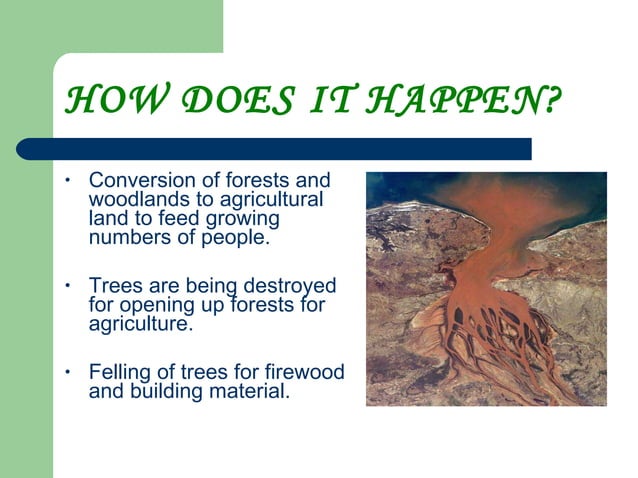 Deforestation | PPT