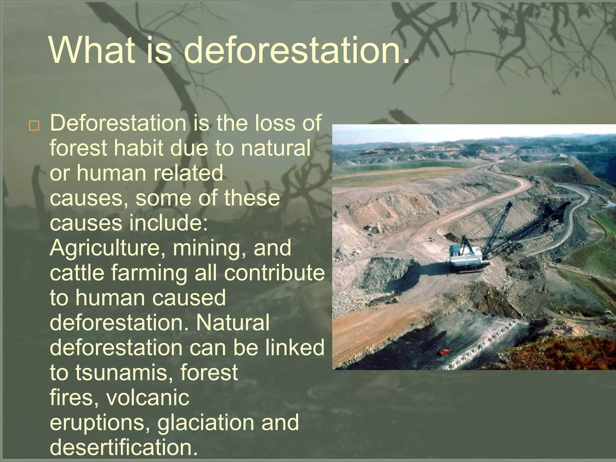 Deforestation | PPTX | Agriculture | Industries
