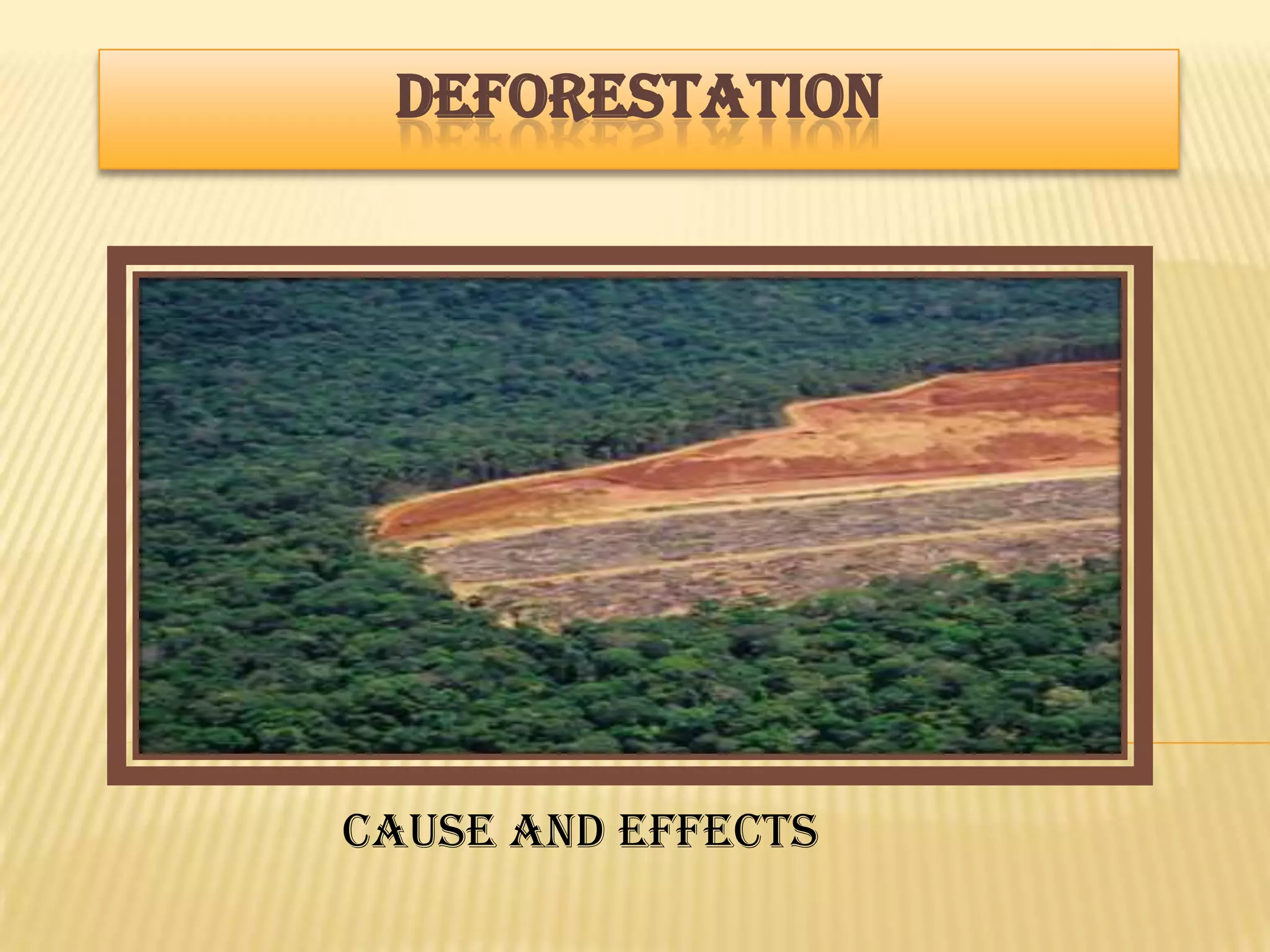 Deforestation | PPTX | Agriculture | Industries
