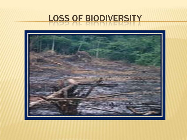 Deforestation | PPTX