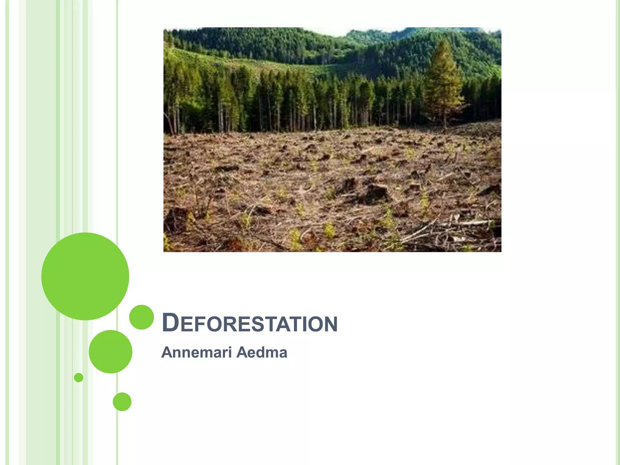 Deforestation | PPT