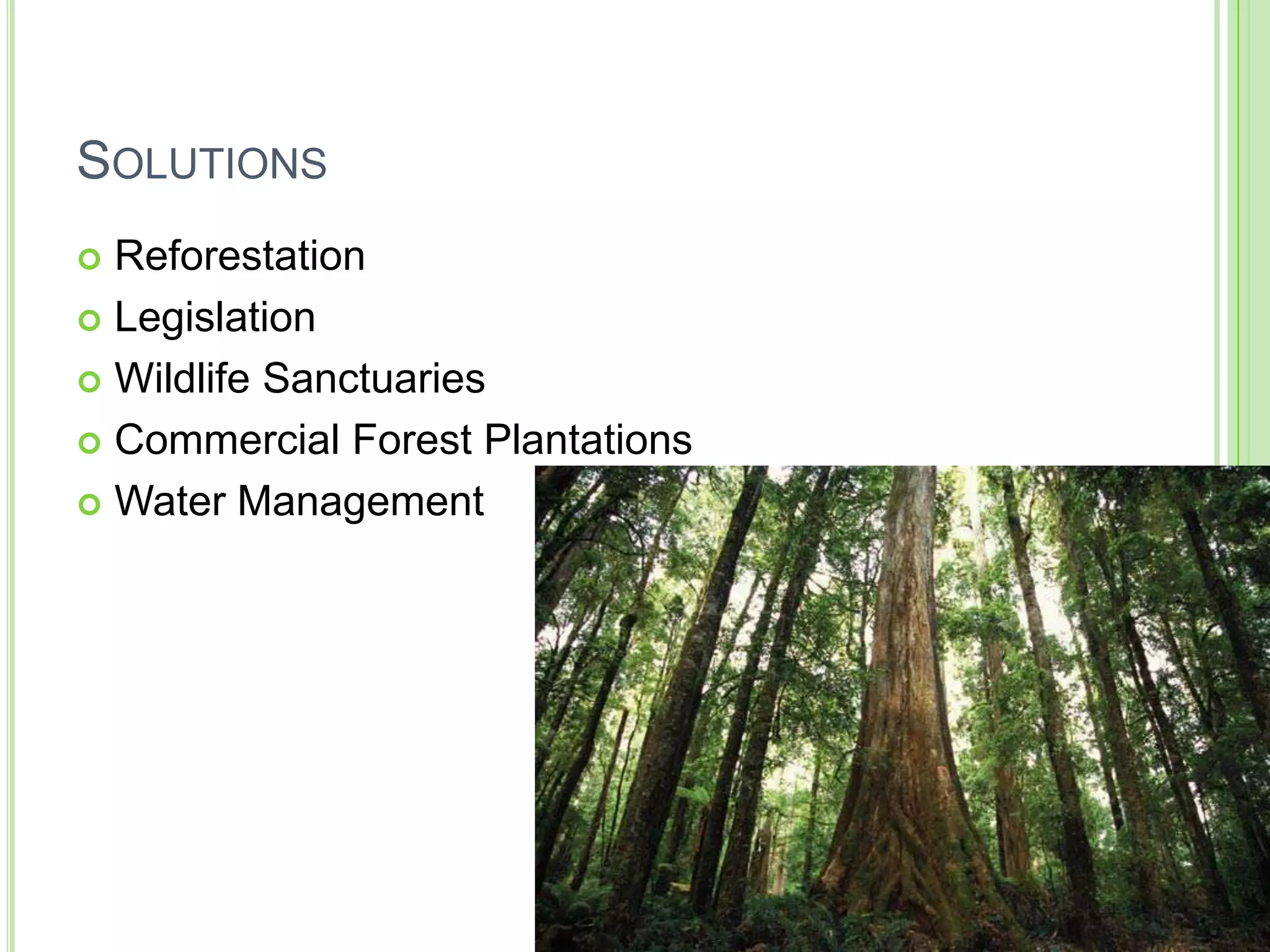 Deforestation | PPT
