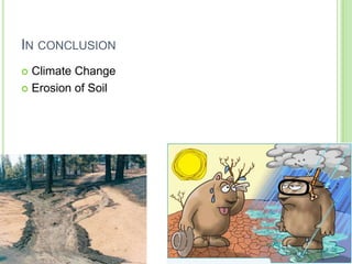 Deforestation | PPT
