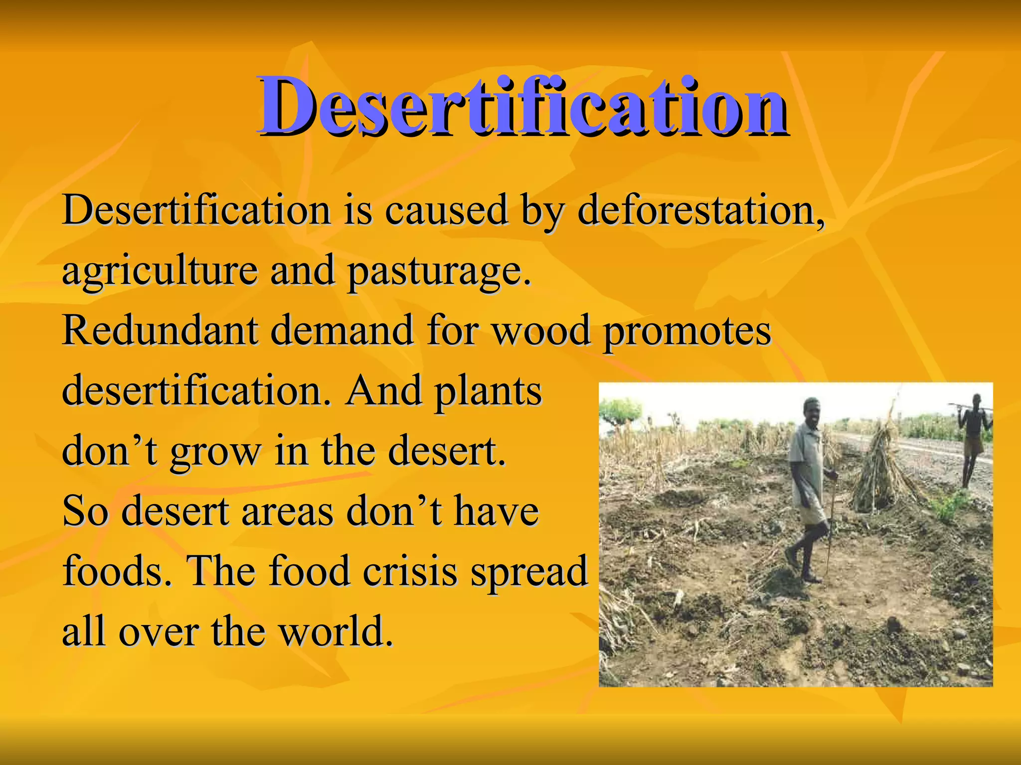 Deforestation of the Amazon | PPT