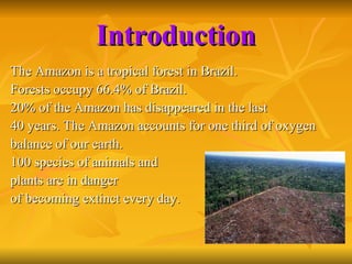 Deforestation of the Amazon | PPT | Environment | Science