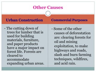 Deforestation | PPTX