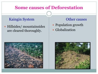 Kaingin System Clipart Of Children