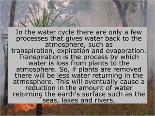 Deforestation | PPTX