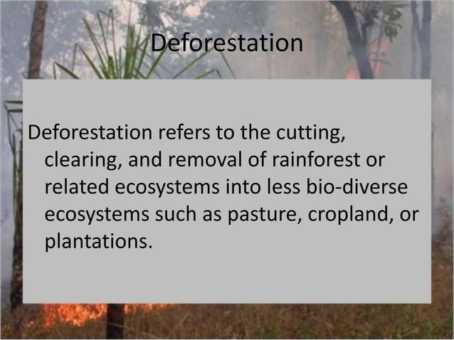 Deforestation | PPT