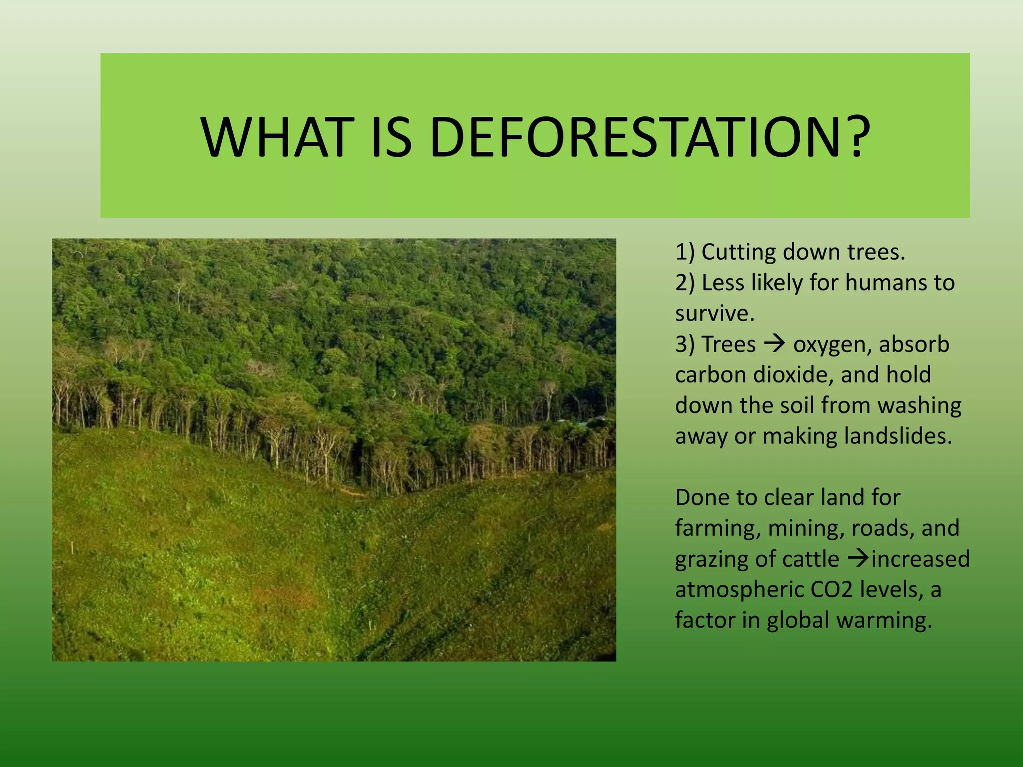 Deforestation | PPT