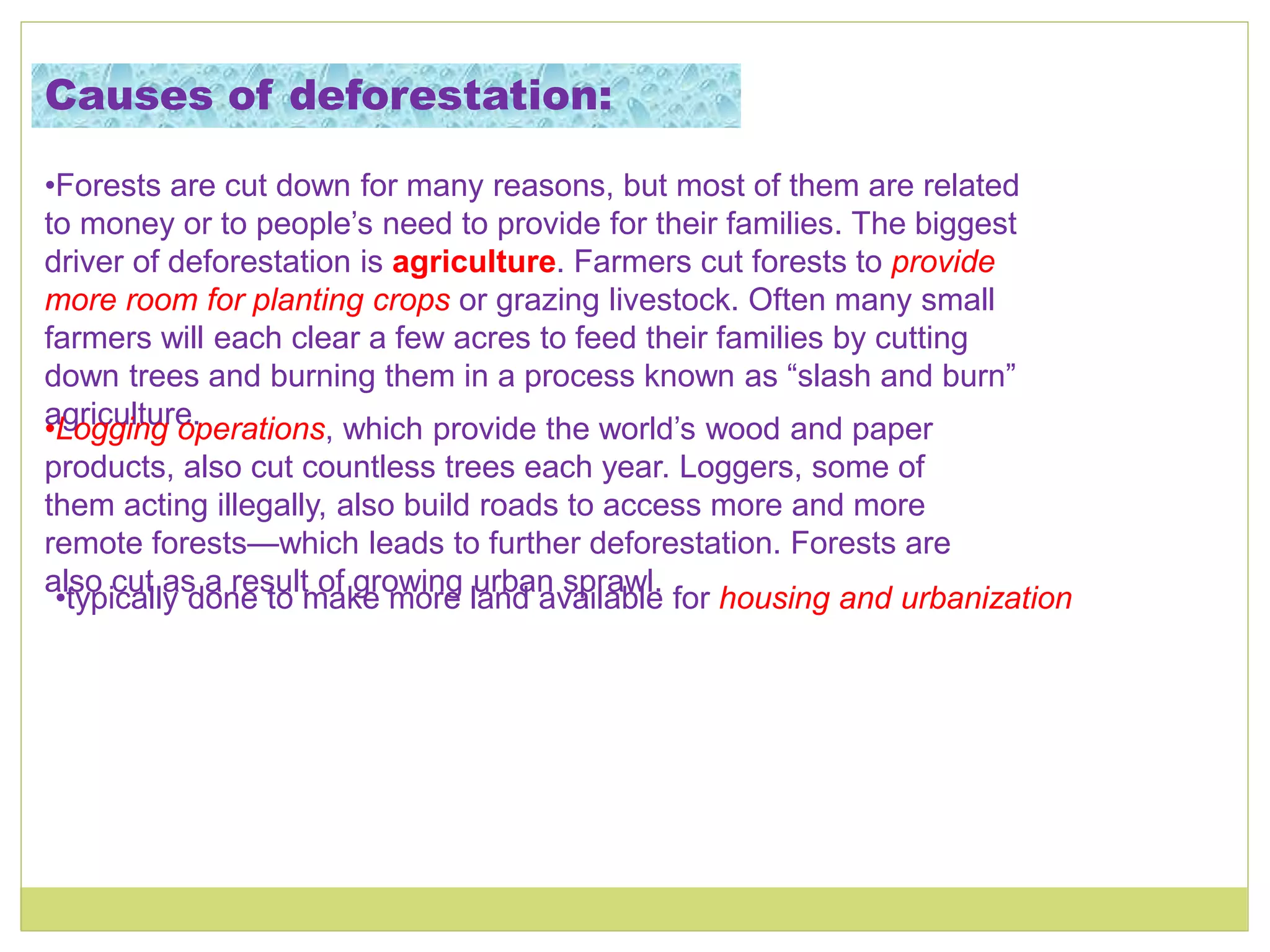 Deforestation | PPTX