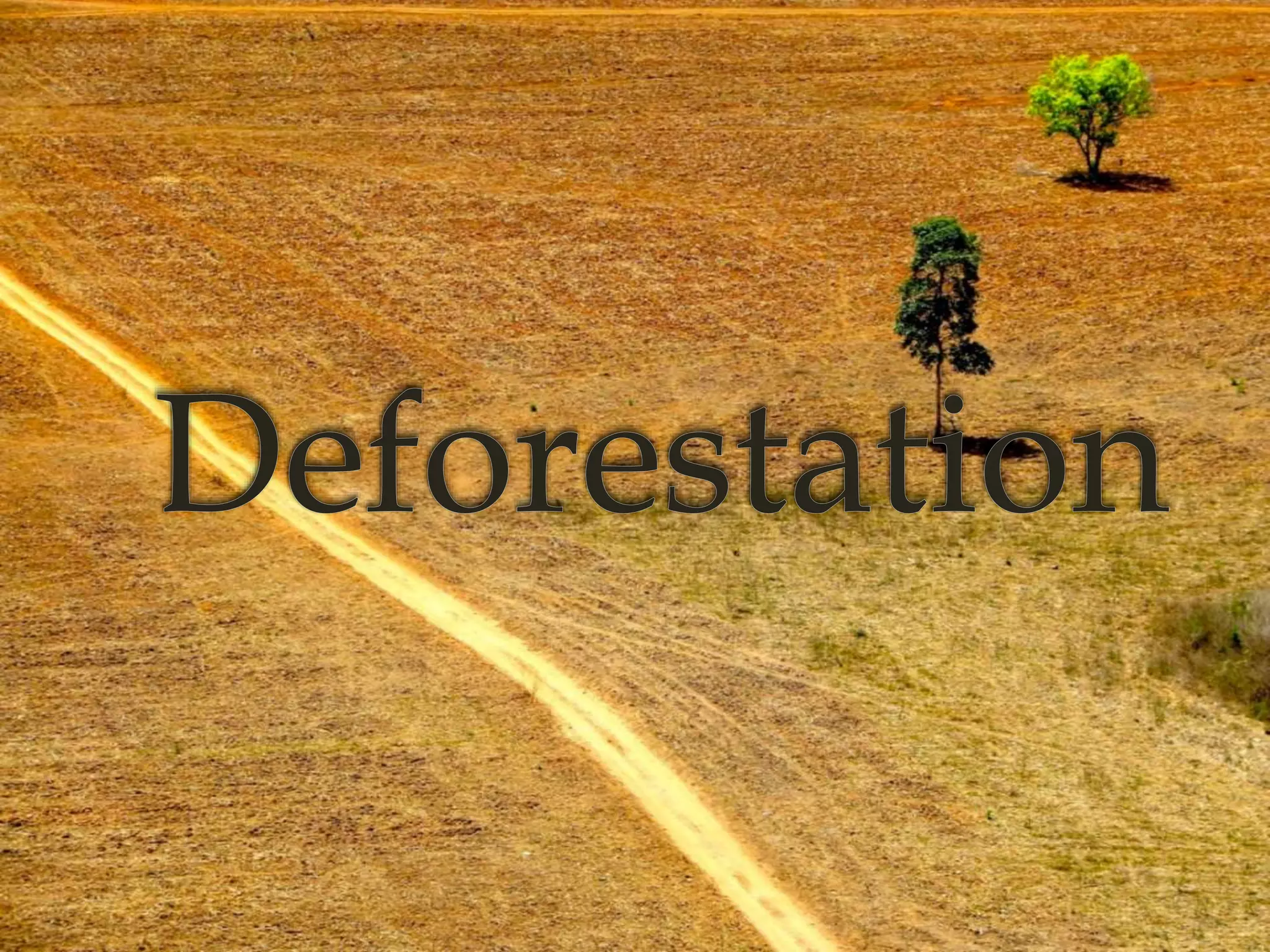 Deforestation | PPTX