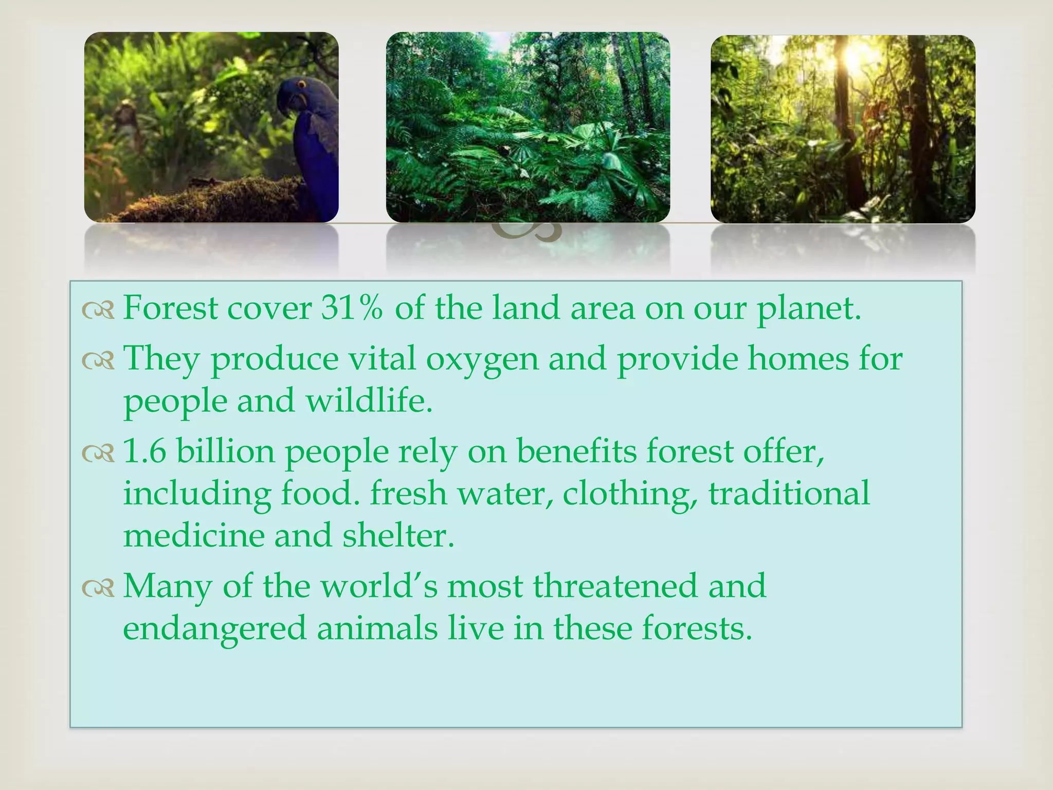 Deforestation | PPT