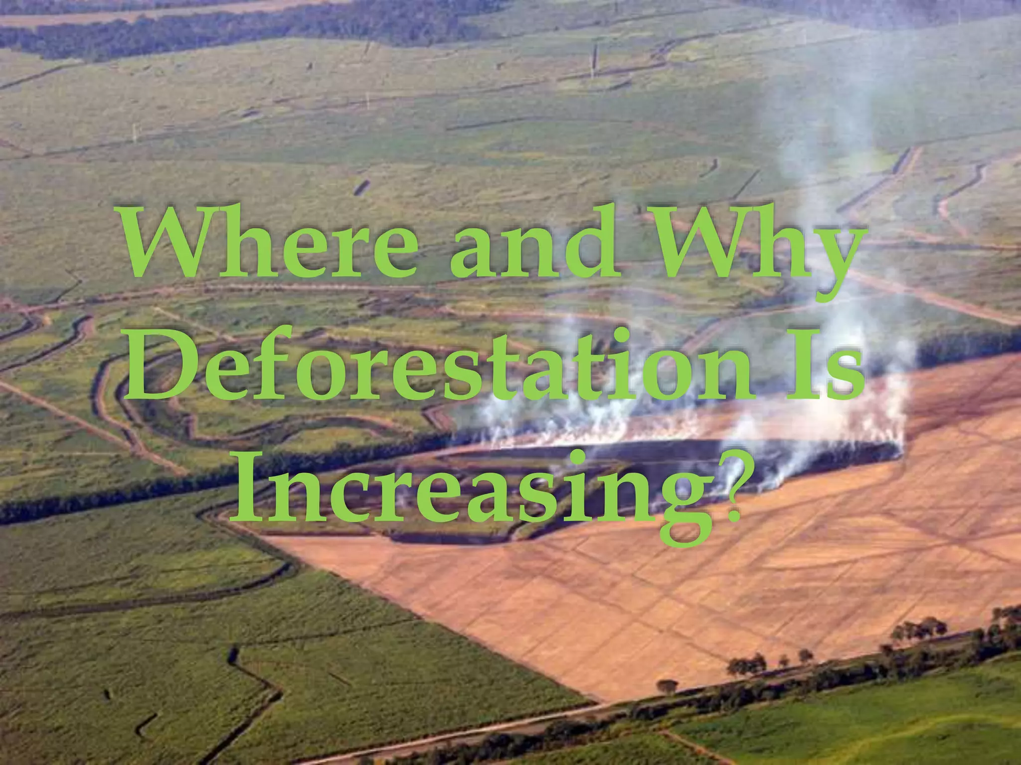Deforestation | PPTX