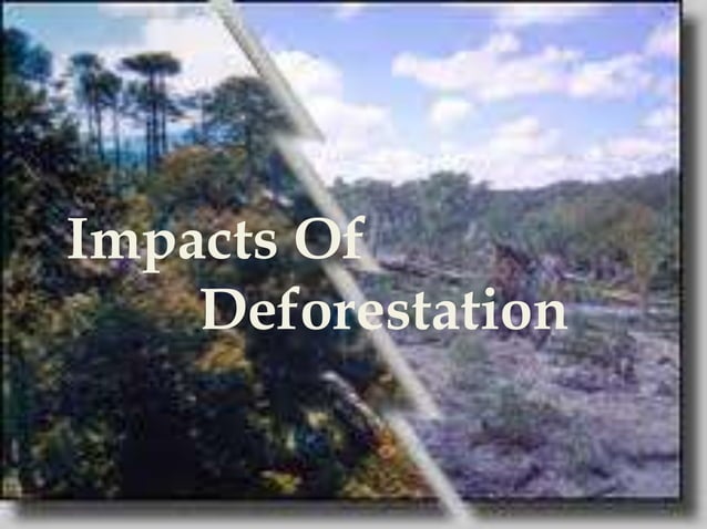 Deforestation | PPT