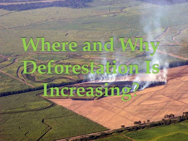 Deforestation | PPT