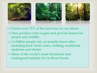 Deforestation | PPT