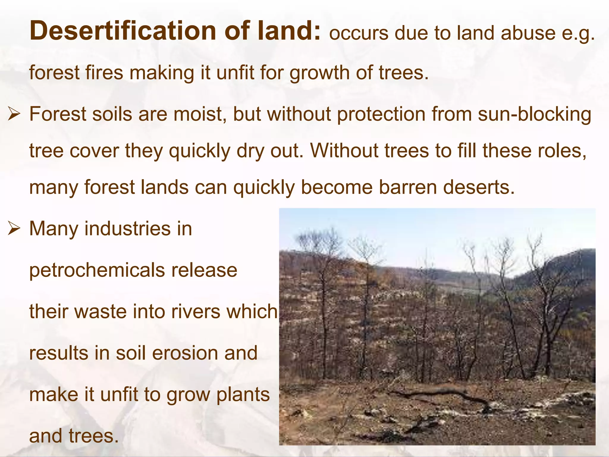 Deforestation | PPTX