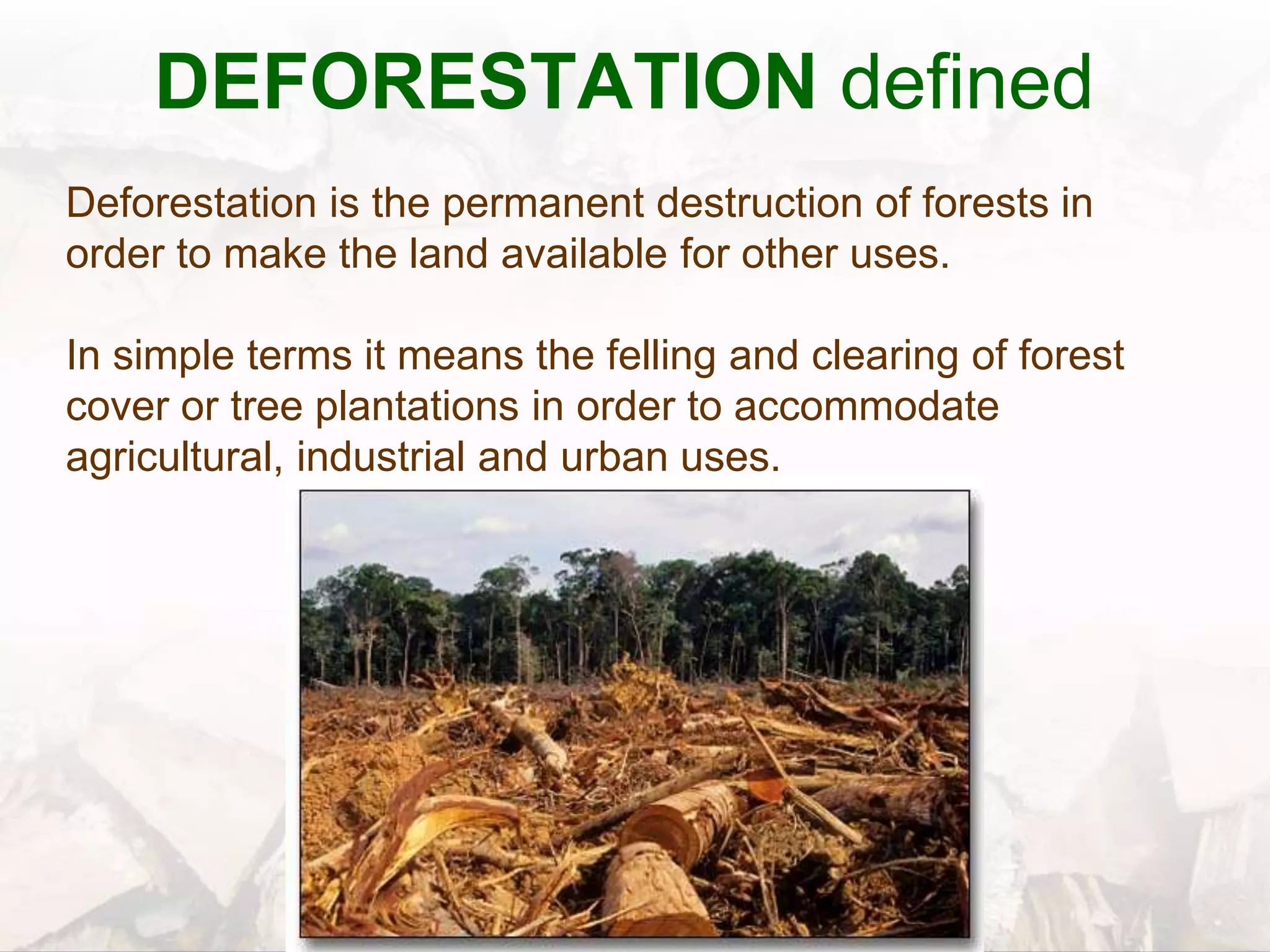 Deforestation | PPTX