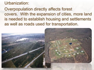 Deforestation | PPTX