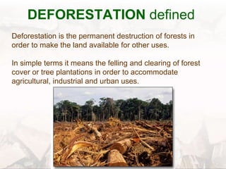Deforestation | PPTX