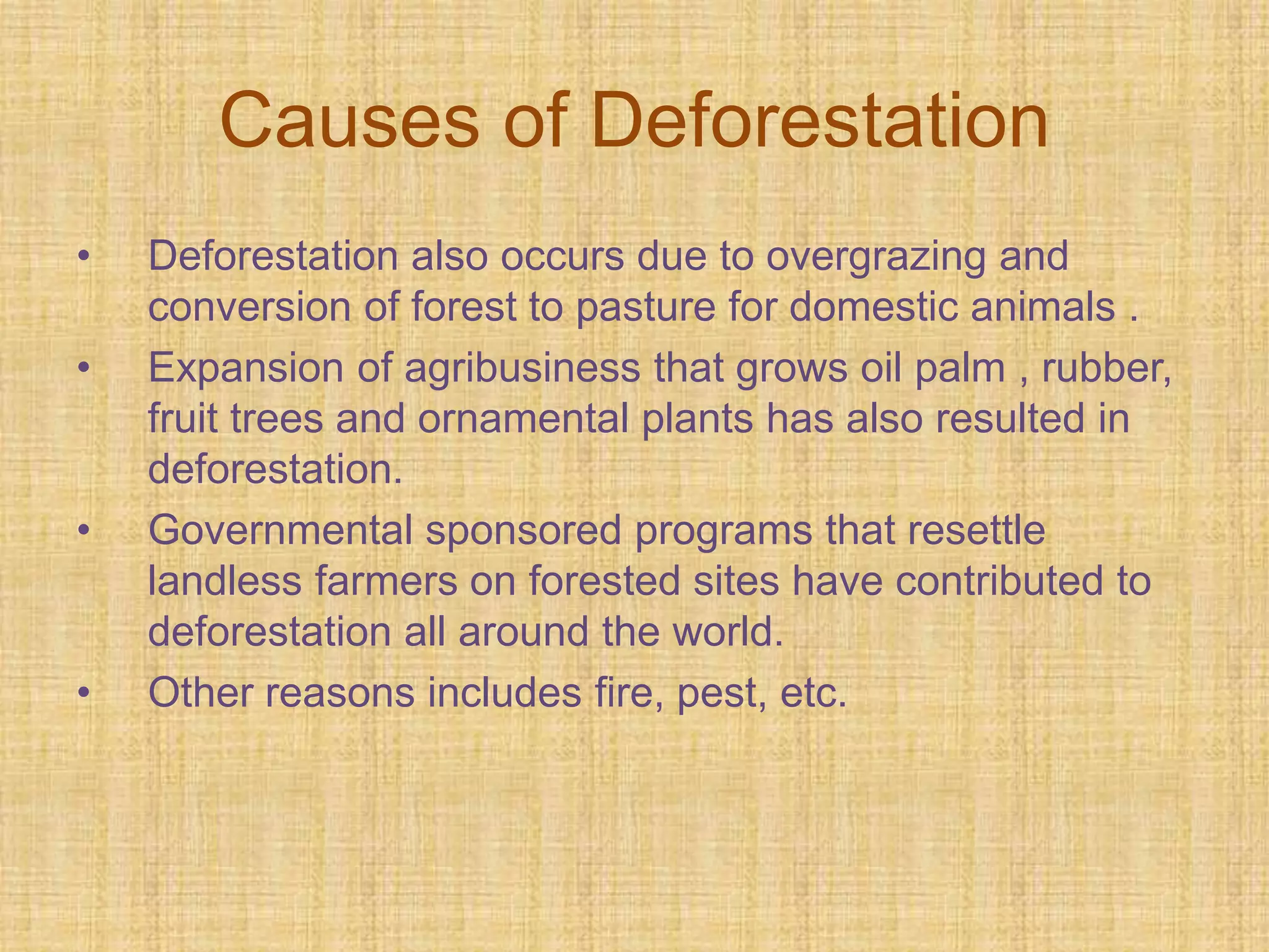 Deforestation | PPTX