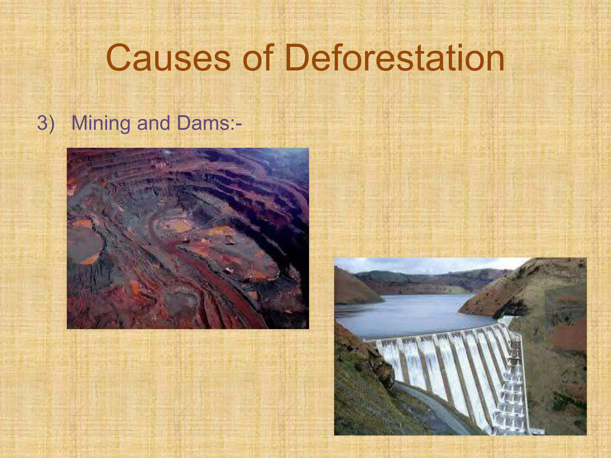 Deforestation | PPTX