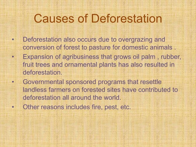 Deforestation | PPTX | Agriculture | Industries