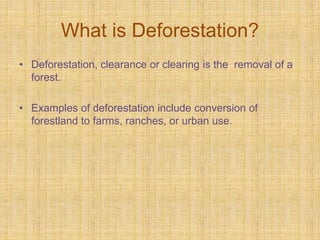 Deforestation | PPTX