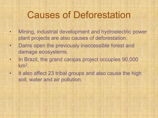 Causes Of Deforestation