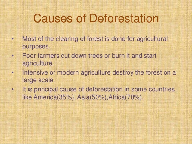 Deforestation